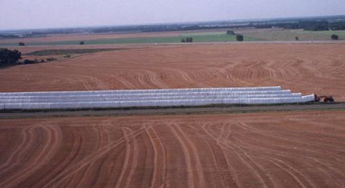 Biomass-Wrapper-Storage